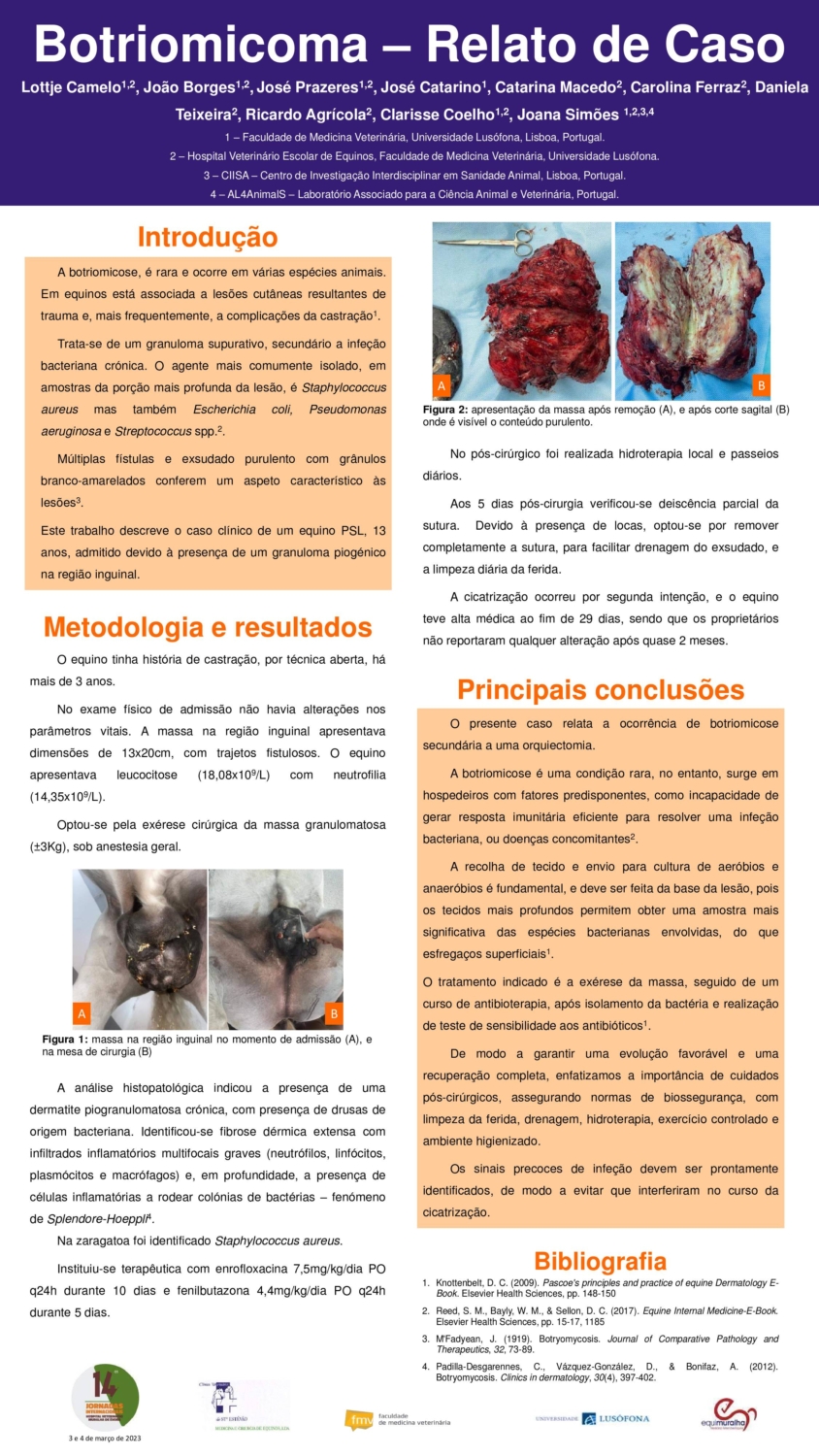 14 Jornadas Internacionais Hospital Veterinário Muralha de Évora ...